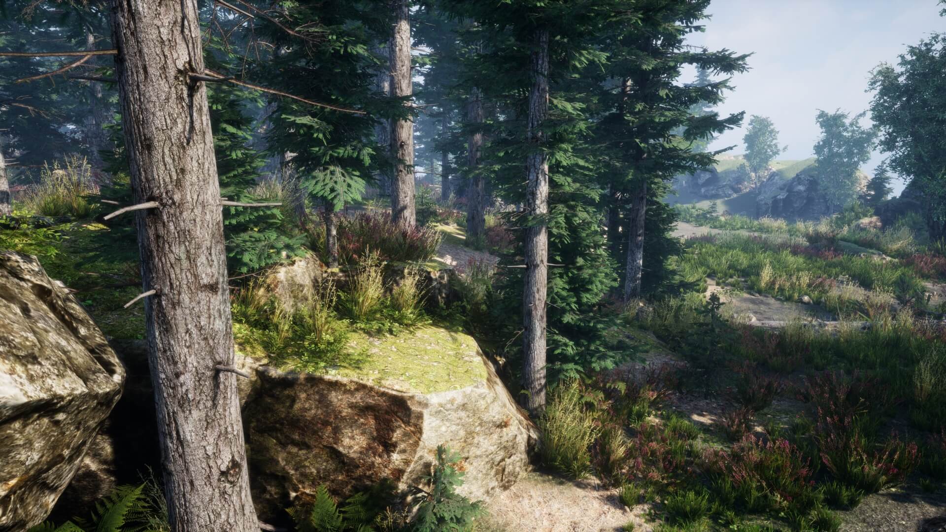 Environment Set Nature Manufacture