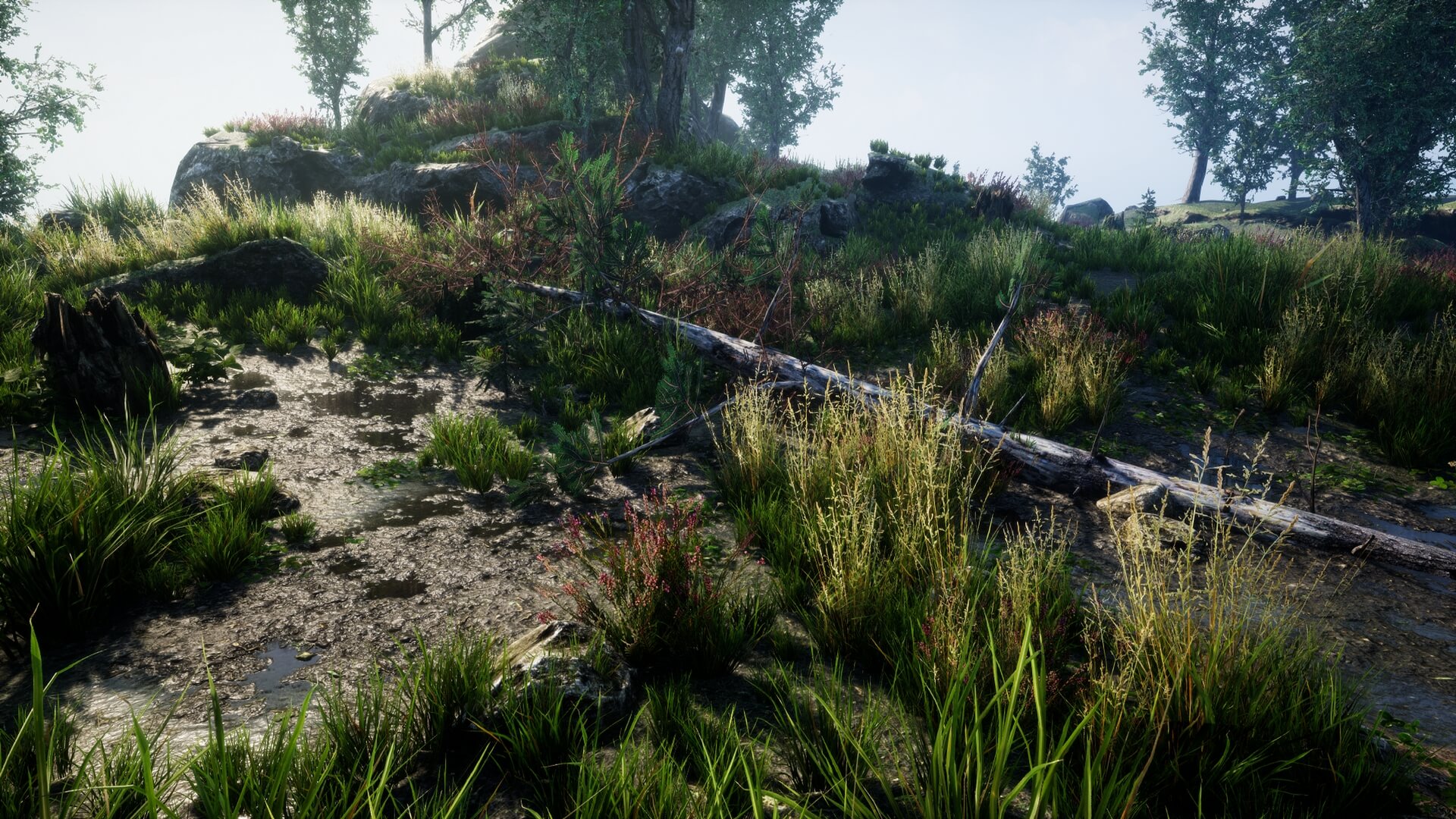 Environment Set Nature Manufacture