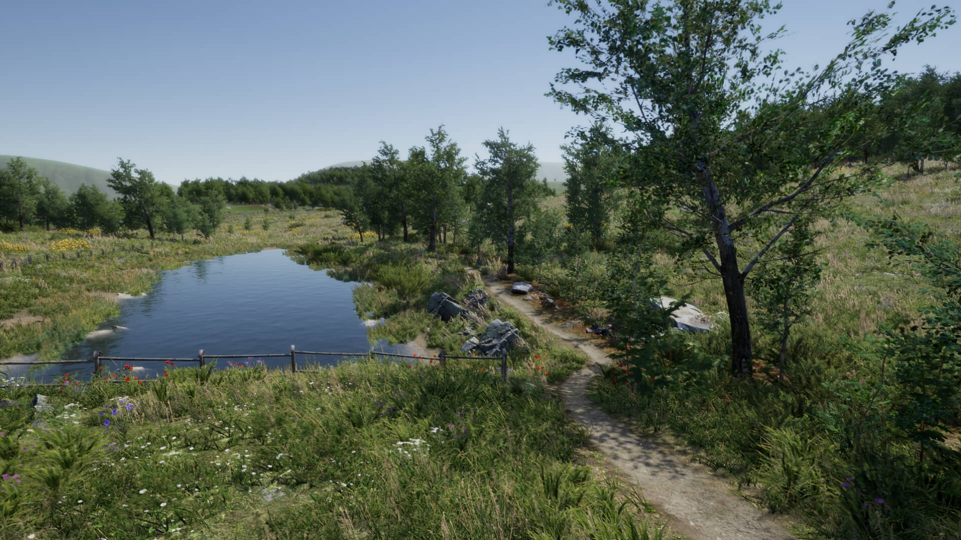 Meadow Environment - Dynamic Nature | Nature Manufacture