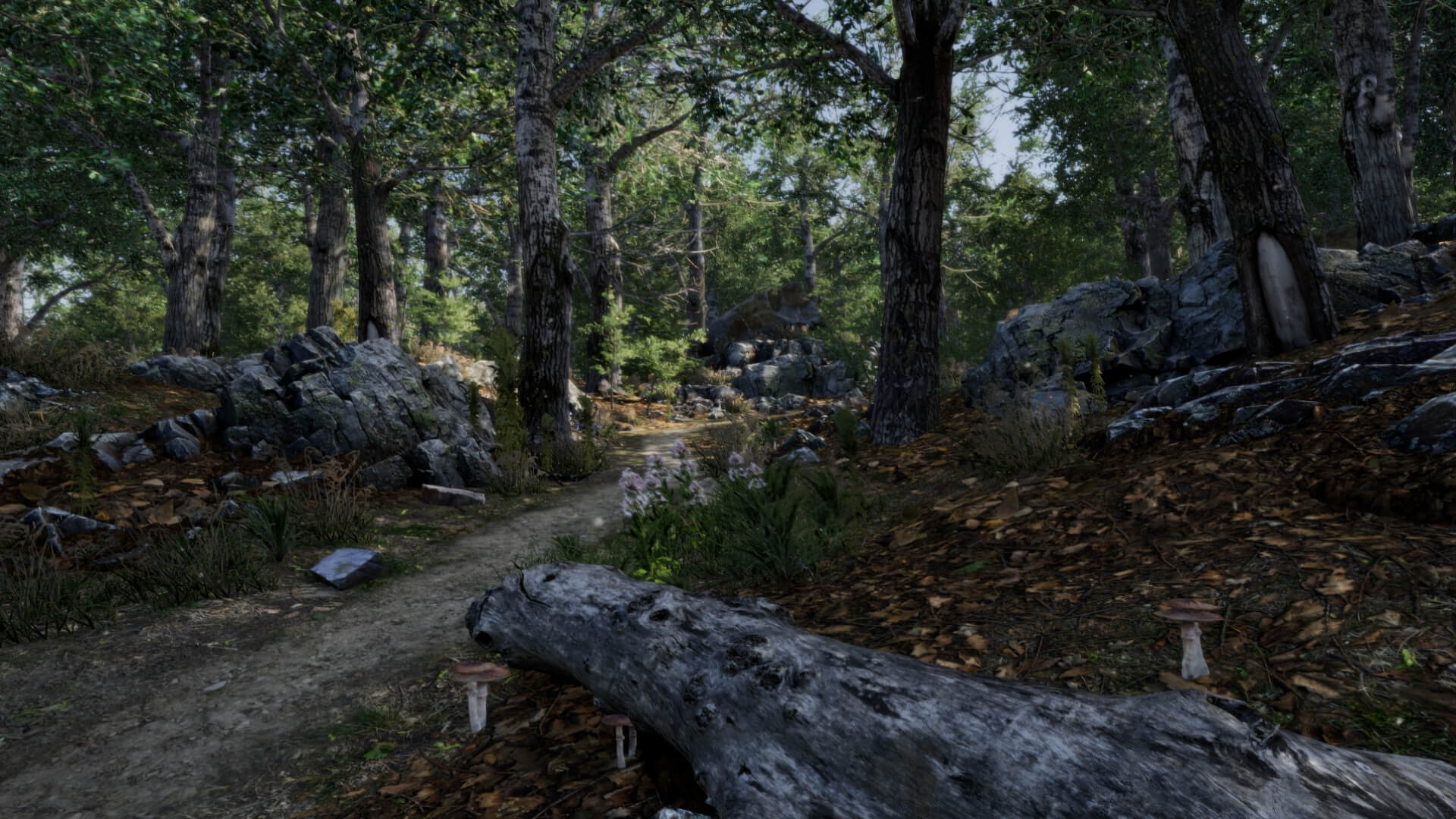 Meadow Environment - Dynamic Nature | Nature Manufacture