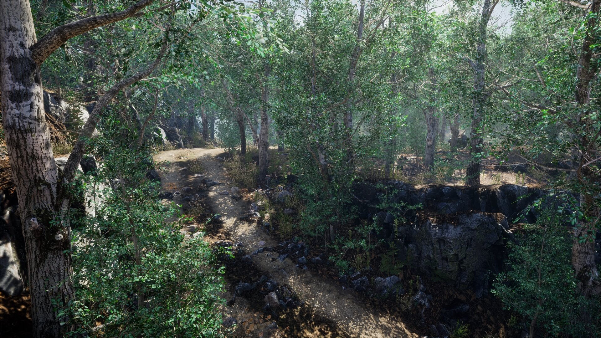 MEADOW - ENVIRONMENT SET | Nature Manufacture