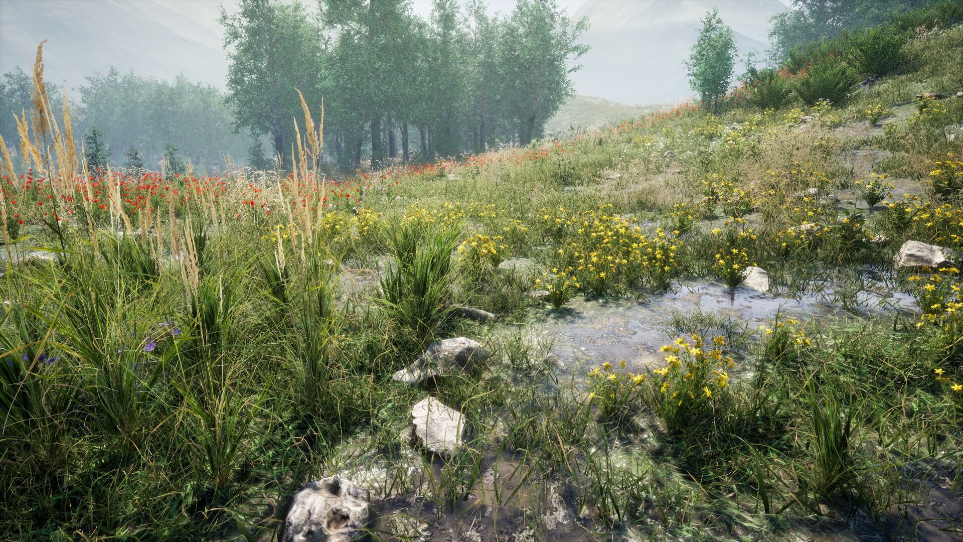 MEADOW - ENVIRONMENT SET | Nature Manufacture