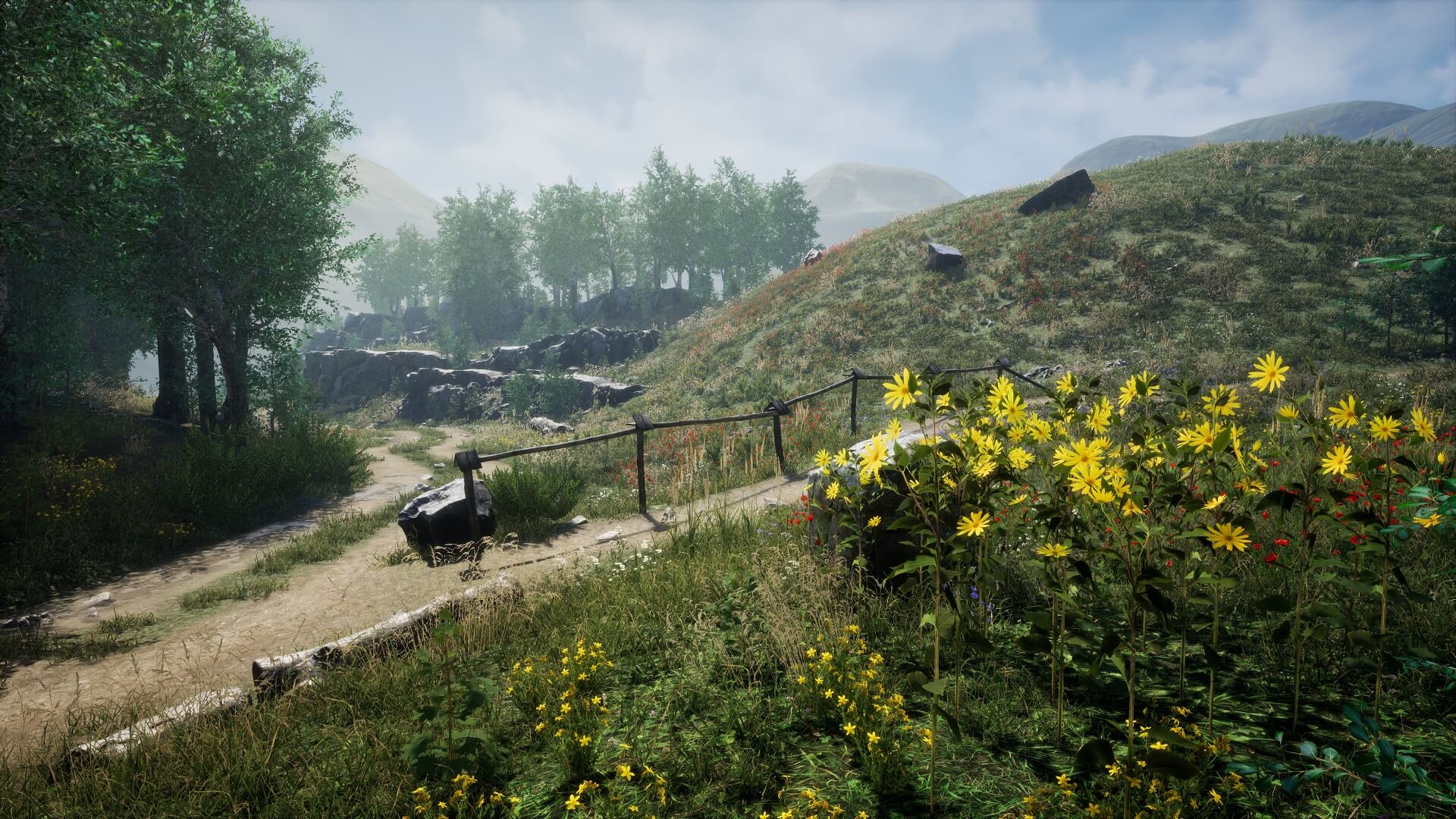 MEADOW - ENVIRONMENT SET | Nature Manufacture