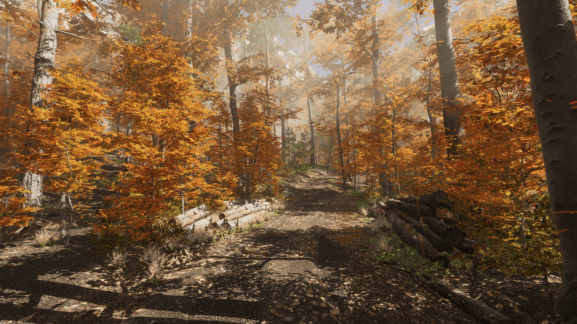 AUTUMN VALLEY - LEVEL | Nature Manufacture