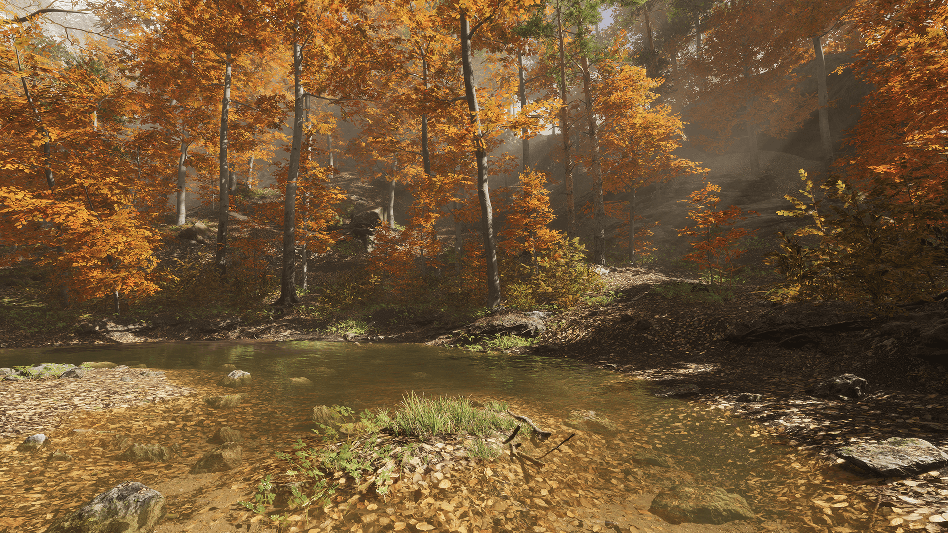 AUTUMN VALLEY - LEVEL | Nature Manufacture